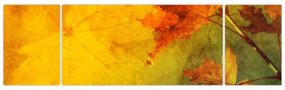 Obraz - Podzimní listy (170x50 cm)