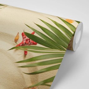 Samolepící fototapeta mušle pod palmovými listy
