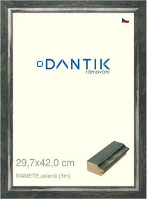 DANTIK rámeček 29,7x42 | IVANETE zelená (Plexi Čiré)