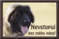 Plechová cedulka Pozor pes  Leonberger  II jakost