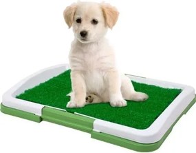 Zaparkorun Toaleta pro domácí mazlíčky - Potty Pad