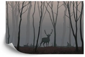 Fototapeta Deer In The Forest Hladký vinyl 104x70.5