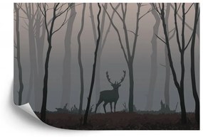 Fototapeta Deer In The Forest Vliesová tapeta 520x318