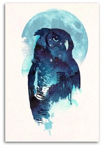 Gario Obraz na plátně Vzpomínky na sovu - Robert Farkas Rozměry: 40 x 60 cm