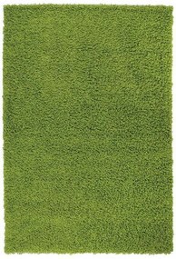 Ayyildiz Hali Kusový koberec Life Shaggy 1500 160x230cm Green