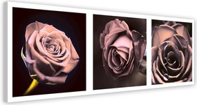 Gario Obraz na plátně Sada panoramatických růží Rozměry: 90 x 30 cm