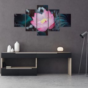 Obraz růžové květiny (125x70 cm)