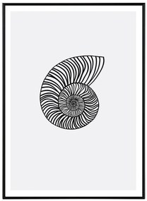 Nautilus in black - 50x70 cm Obraz