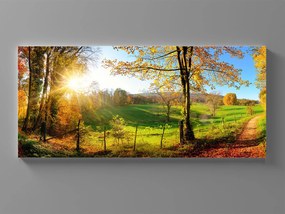 Liox Obraz pešina z lesa Rozměr: 80 x 35 cm