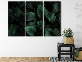 Vícedílný obraz Zelené Listy Na Makro Stupnici Nedostatek Nedostatek Přírodní plátno 150x100