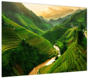 Obraz - Rýžové terasy Mu Cang Chai (70x50 cm)