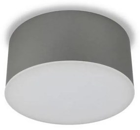 LED2 - LED Stropní svítidlo BUTTON LED/17W/230V stříbrná
