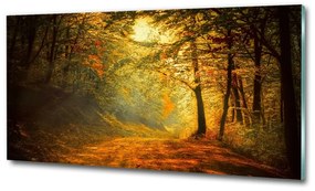 Wallmuralia Fotoobraz na skle Podzimní les 100x50