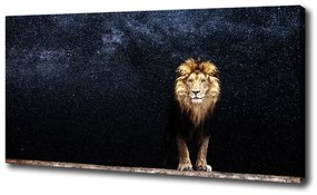 Wallmuralia Foto obraz canvas Lev na pozadí hvězd 100x50