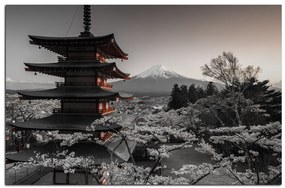Obraz na plátně - Pohled na horu Fuji 161FA (120x80 cm)