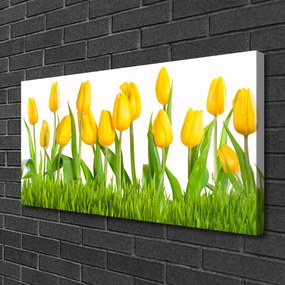 Obraz na plátně Tulipány 120x60 cm