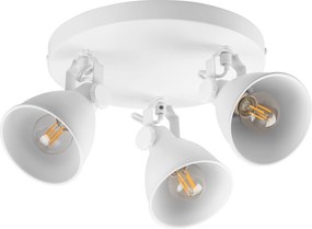 Livarno Home Stropní LED svítidlo Teiwaz (stropní bodové svítidlo, bílá)