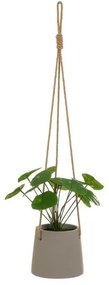 Umělá rostlina (výška 24 cm) Pilea – Casa Selección