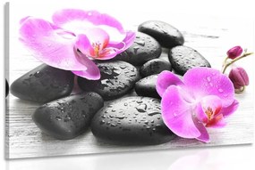 Obraz krásná souhra kamenů a orchideje - 60x40 cm