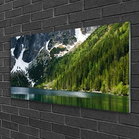 Obraz na skle Jezero Les Hory Krajina 125x50 cm