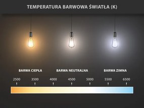Mexen Vintis, LED filamentová žárovka E27, ST64, 8 W, teplá bílá 2700K, čirá, L152-E27-0827-00