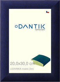 DANTIK rámeček 20x30 | LEDVINKA modrá (Sklo Čiré)