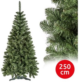 Sonic | Vánoční stromek POLA 250 cm borovice | SC0020