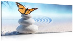 Obraz rovnováha kamenů a motýl Varianta: 100x50