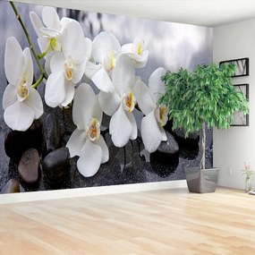 Fototapeta Orchidejové kameny 104x70