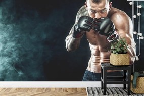 Fototapeta Soustředěný Boxer Hladký vinyl 135x90