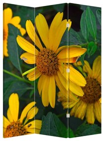 Paraván - Žluté květiny (126x170 cm)