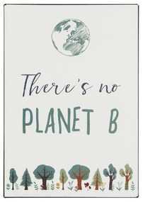 Ib Laursen - plechová cedulka There's no Planet B