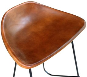 Petromila Barové židle 4 ks hnědé pravá kůže