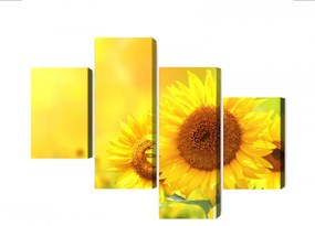 Vícedílný obraz Kvetoucí Slunečnice 3D Nedostatek Nedostatek Plátno Canvas 160x100