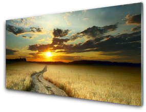 akrylový obraz Cestička Pole Krajina 100x50 cm