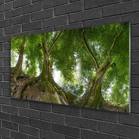 Obraz na skle Stromy Rostlina Příroda 125x50 cm