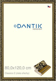 DANTIK rámeček 80x120 | Claico 2 (zlato ořechy) (Plexi Čiré)