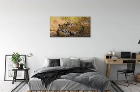 Obrazy na plátně Tigers 140x70 cm