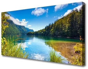 Obraz na plátně Hory Les Příroda Jezero 100x50 cm