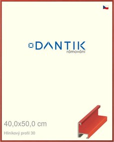 DANTIK rámeček 40x50 | ALU profil 6030 Dýha barevná červená třešeň (Sklo Čiré)