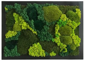 Mechový obraz z masivu| kombinace mechů Rozměr obrazu: 120x50 cm, Barva rámu: Přírodní (světlé dřevo), Síla rámu (pohledová): 4,5 cm