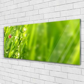 Plexisklo-obraz Tráva Beruška Příroda 125x50 cm