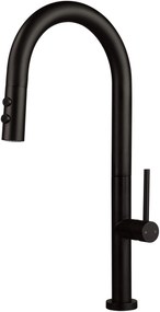 Deante Kitchen tap, with pull-out spout - 2 stream types