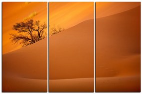 Obraz na plátně - Červené písečné duny 1133B (105x70 cm)