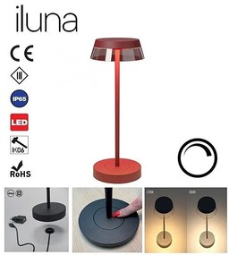 Redo Group Iluna RG_90311