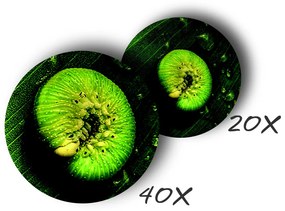 Navir - Explora - přenosný mikroskop s osvětlením