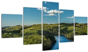Obraz - Jezero v lesích (125x70 cm)