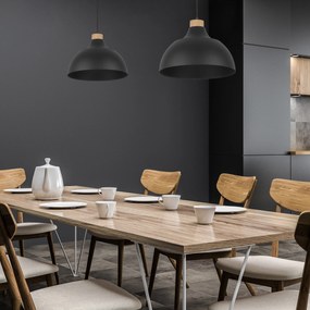 TK Lighting Černý závěsný lustr Cap pro žárovku E27 TK2071