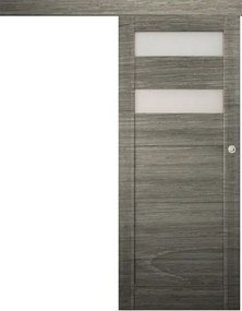 posuvné interiérové dveře na stěnu vasco doors SANTIAGO model 5 Průchozí rozměr: 70 x 197 cm, Orientace dveří: Levé dveře, Dekor: Dub stříbrný