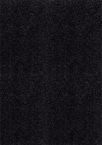 Hans Home | Kusový koberec Dream Shaggy 4000 antrazit - 160x230
